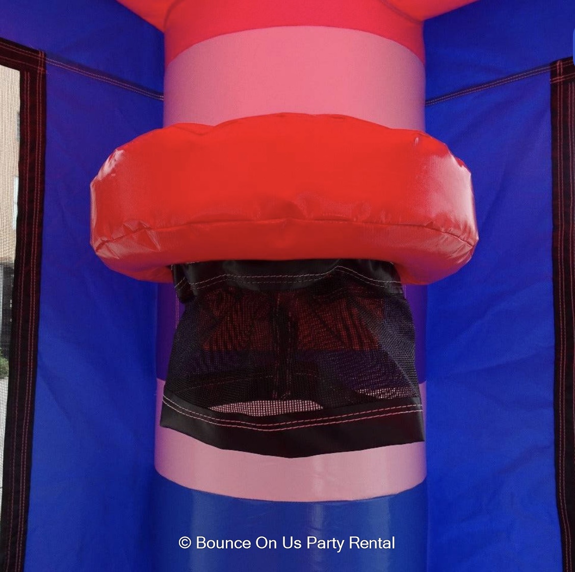 Candy Land Bounce Castle - Bounce House & Inflatable Hire in Brockton ...